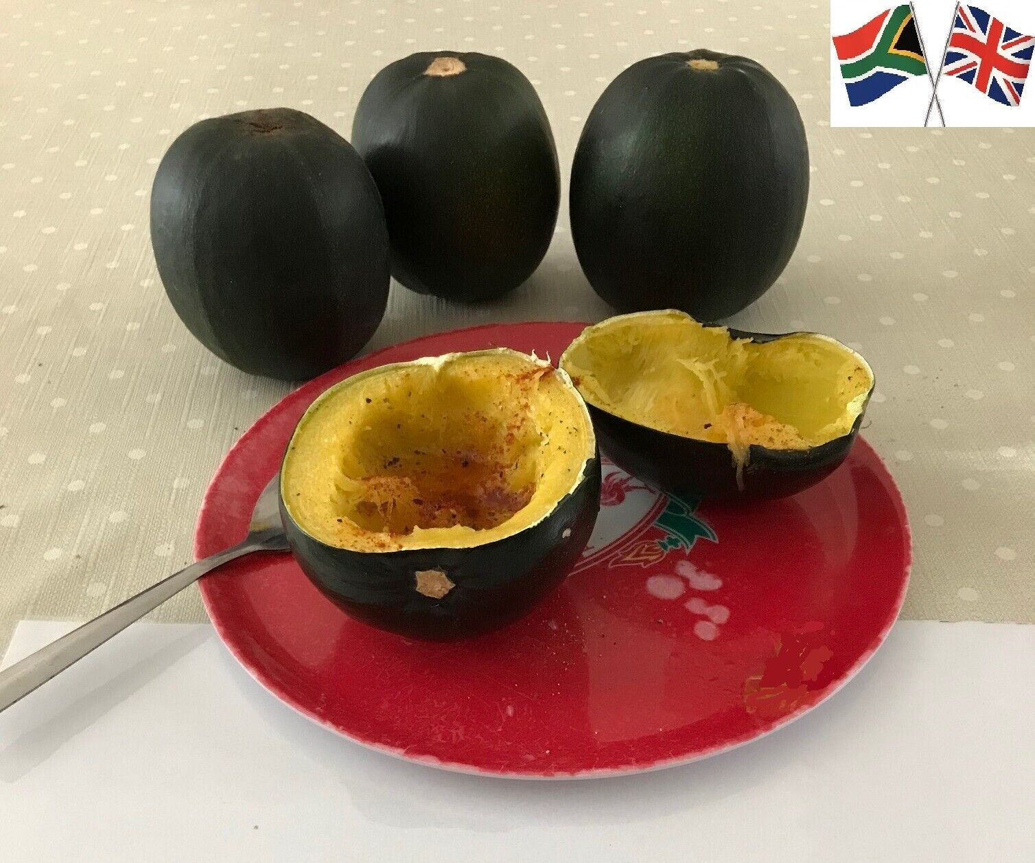 Gem Squash | 10+ seeds | UK 2023 organic harvest | Limited stock – speedyseeds